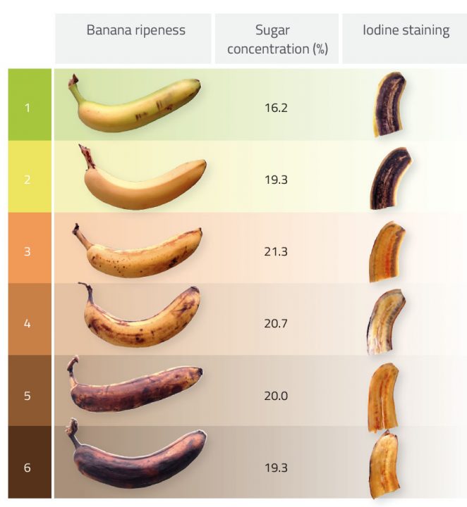 issue44_banana_brix – Acclimatons