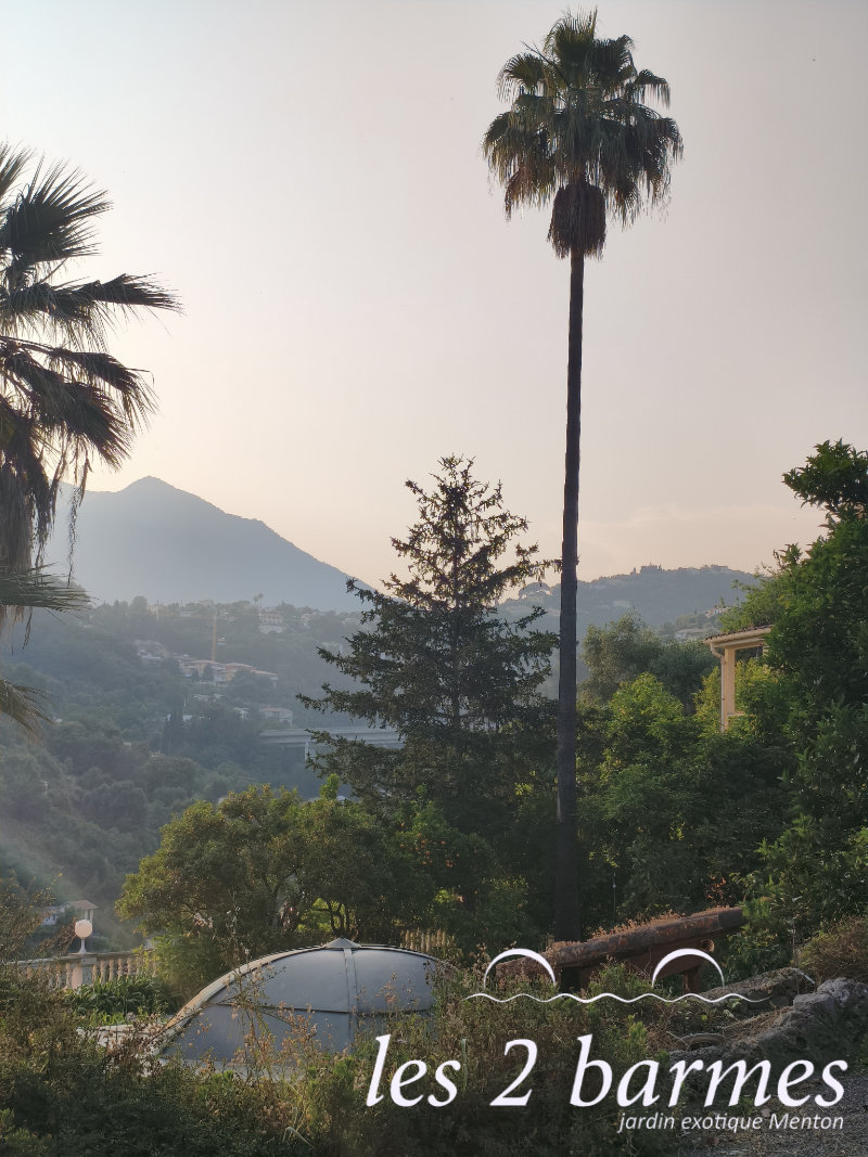 Le projet des deux Barmes (Menton) – Acclimatons